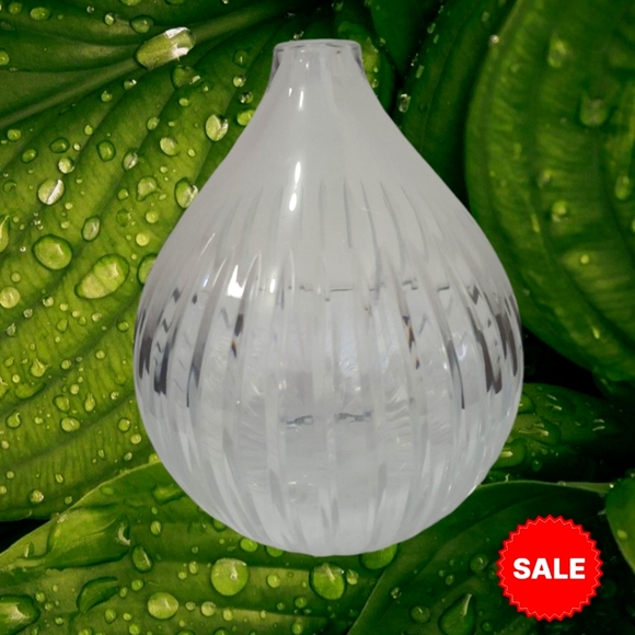 Accents | Vase Crystal Atlantis Signed Gerald Gulotta About 55 Tall And ...